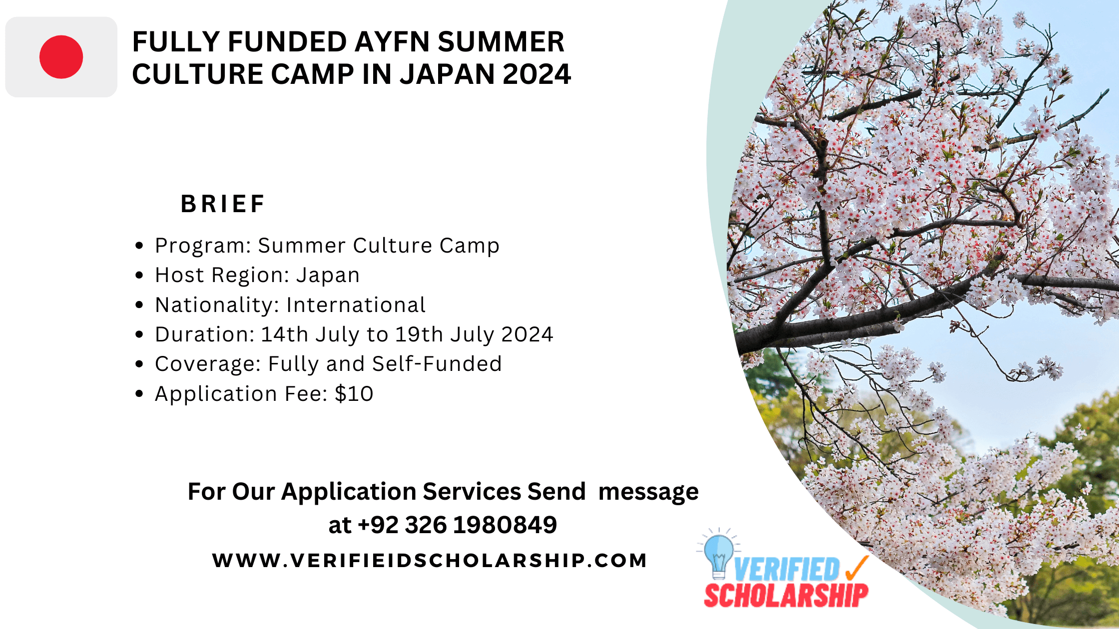 Fully Funded AYFN Summer Culture Camp in Japan 2024 - Verified Scholarship