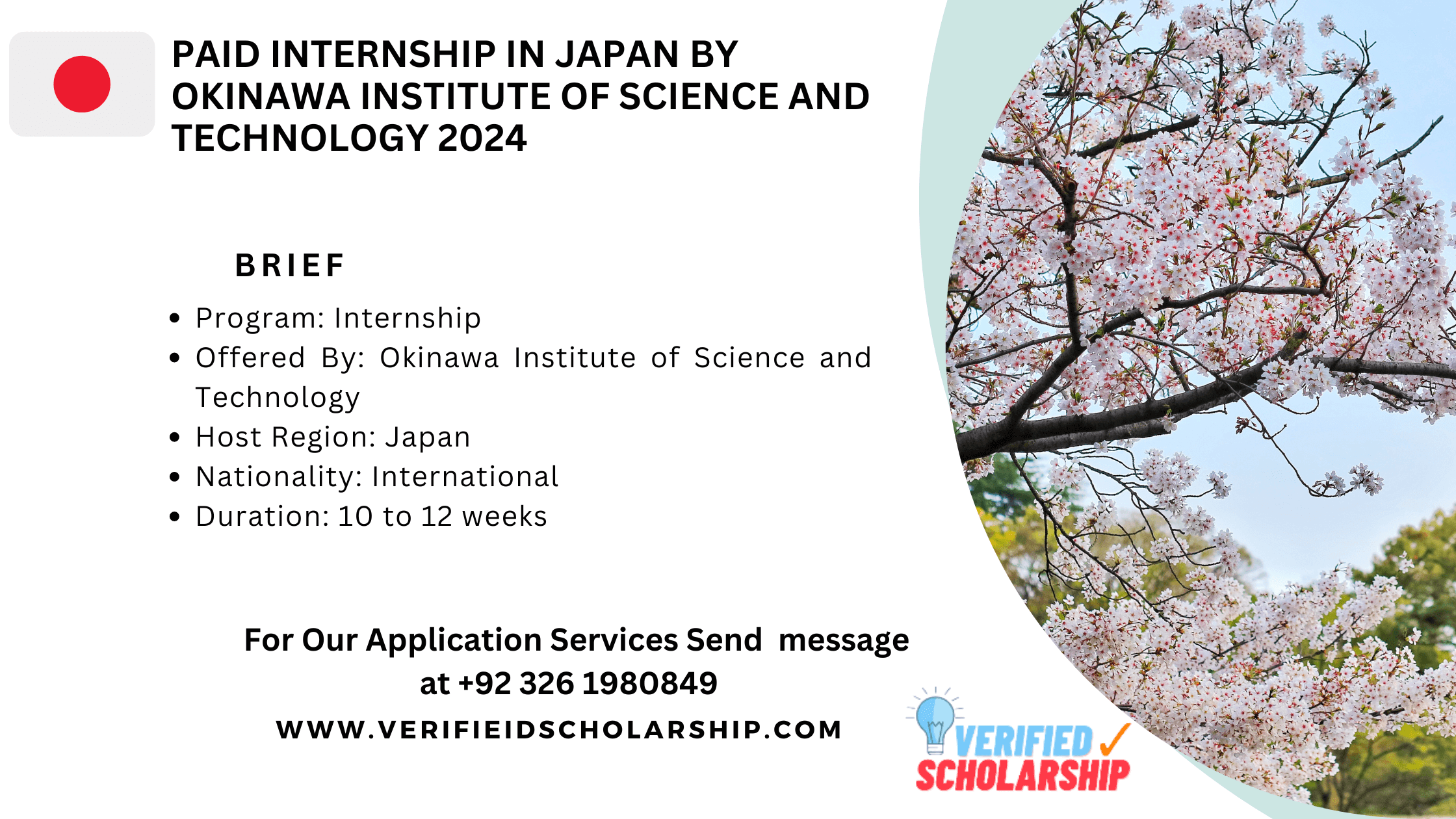 Paid Internship in Japan by Okinawa Institute of Science and Technology ...